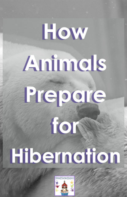 Hibernation: How Animals Prepare for Winter • Spanish4Kiddos