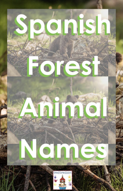 Spanish Lesson: Desert Animals Names and Activities • Spanish4Kiddos